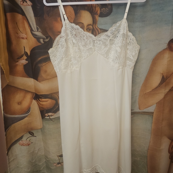Van Raalte | Intimates & Sleepwear | Vintage 6s Van Raalte Slip Dress ...